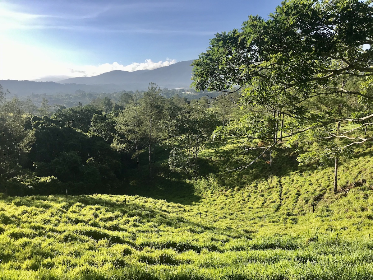 Sahara dust in the Dominican Republic 2020 – www.traphil.com
