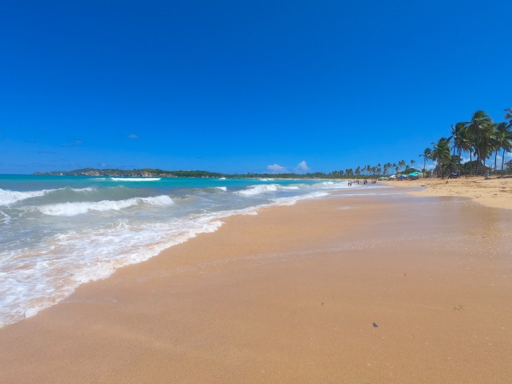 Ist Macao Beach der schönste Strand in Punta Cana? – www.traphil.com